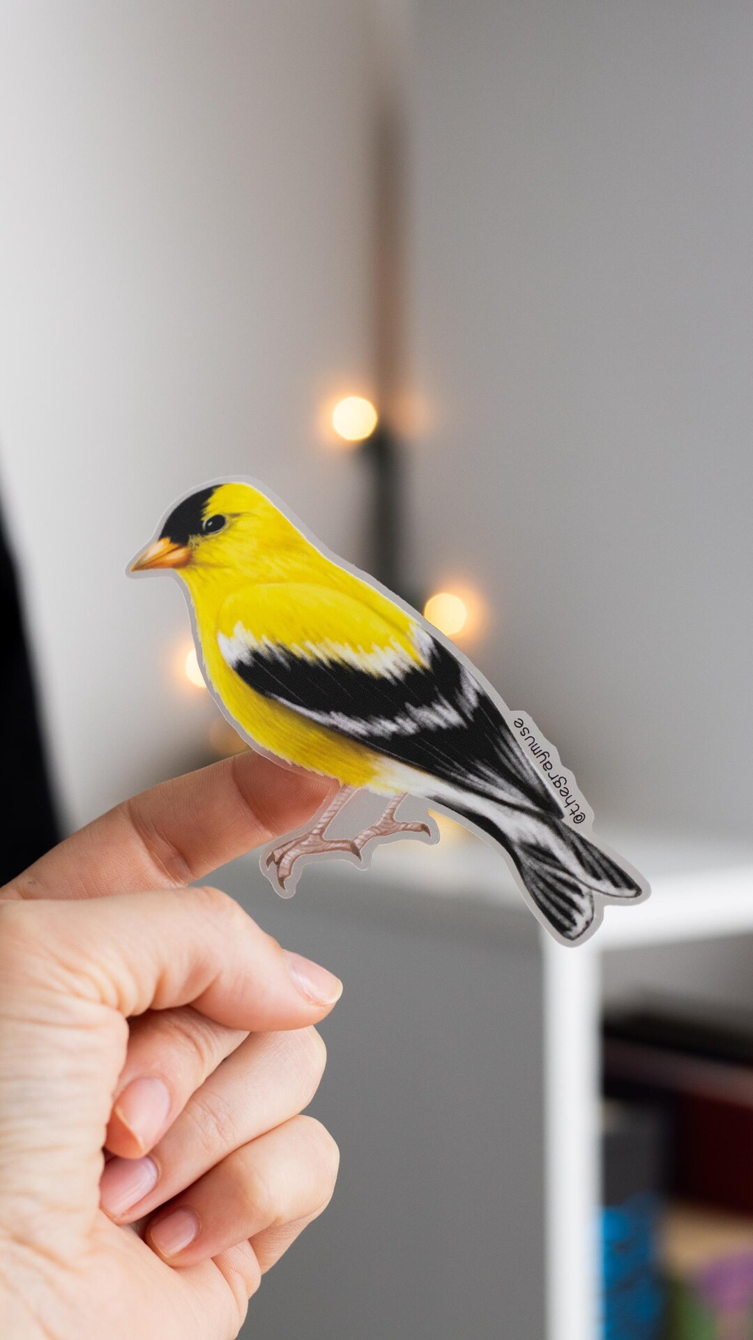 Eastern Goldfinch Bird Matte Sticker, Nature Gift - Etsy