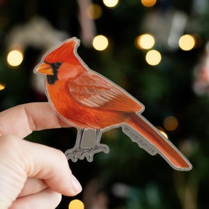 Northern Red Cardinal Bird Matte Sticker, Nature Lover Gifts, Illinois ...