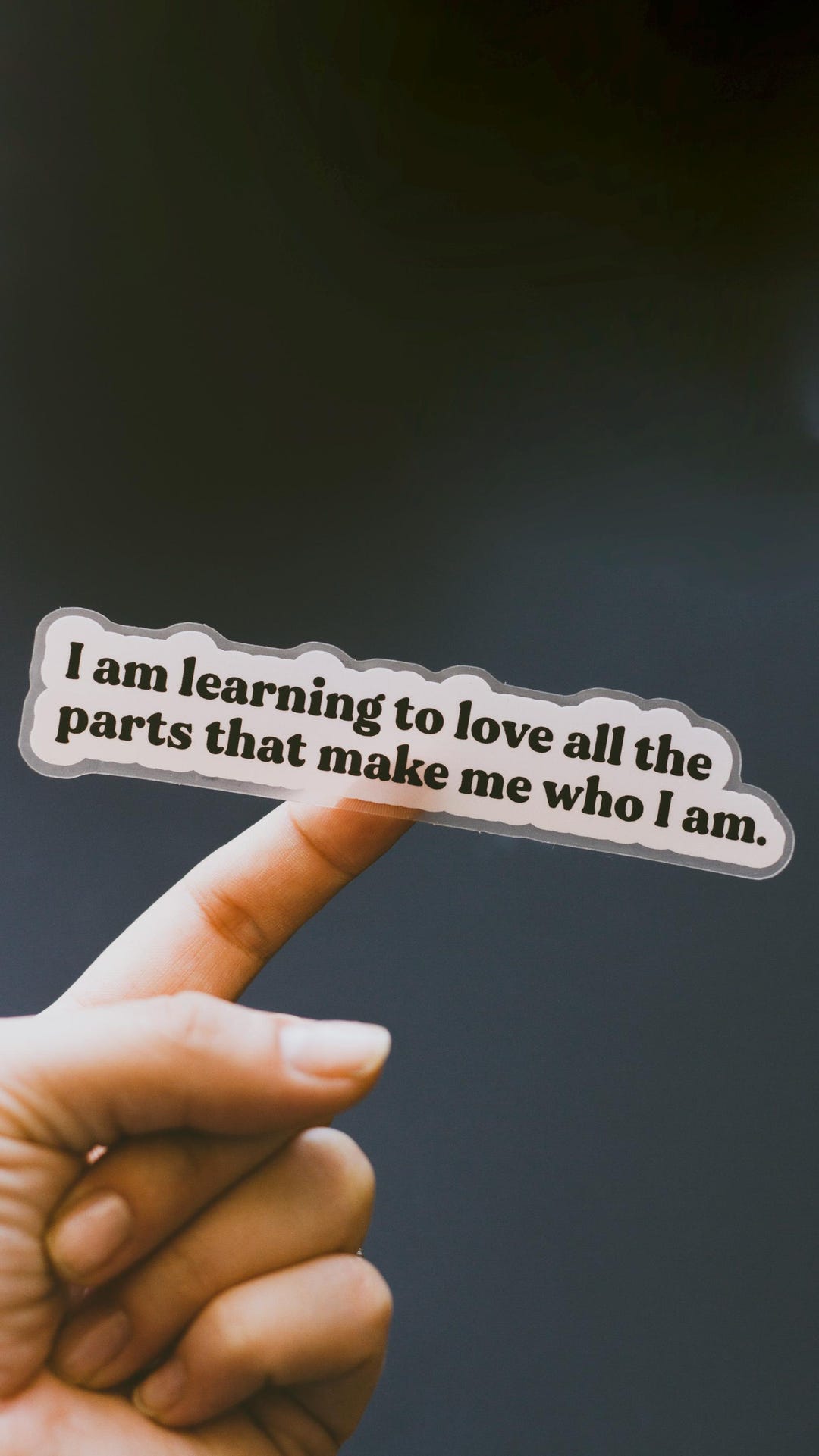 RETIRING Learning to Love Matte Sticker, Mental Health Gift, Sticker ...