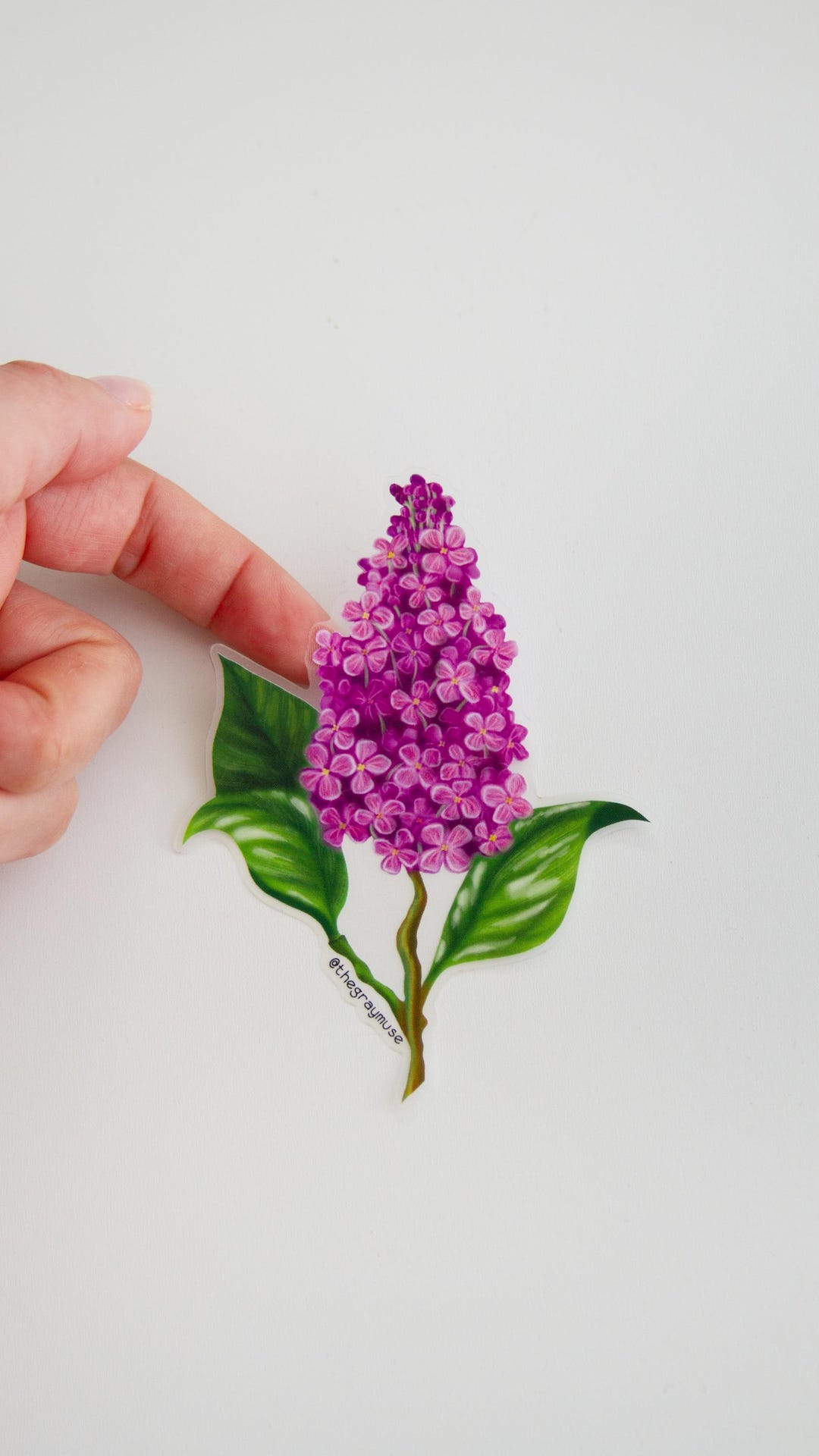Lilac Floral Sticker, Purple New Hampshire State Flower, Clear Matte ...