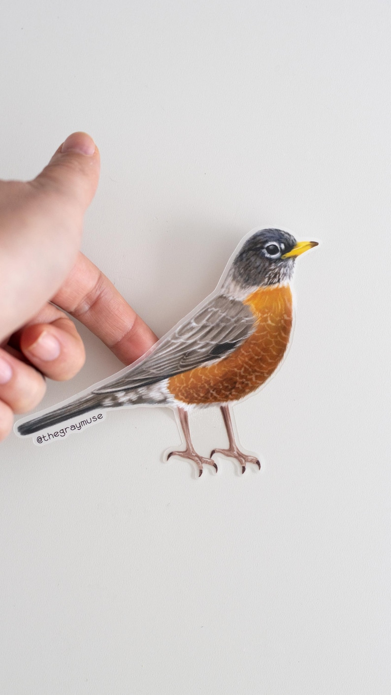 American Robin Bird Matte Sticker, Nature Lover Gifts, Gift for ...