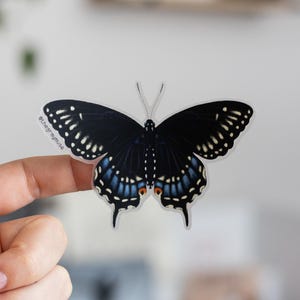 Black Swallowtail Butterfly Matte Sticker, Nature Decal - Etsy