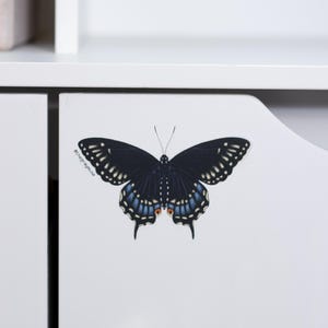 Black Swallowtail Butterfly Matte Sticker, Nature Decal - Etsy