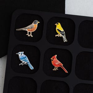 American Robin Bird Enamel Pin, Nature Gift, Gifts for Her, Lapel Pin ...