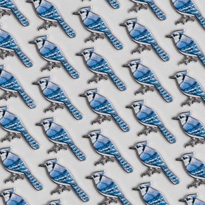 Blue Jay Bird Enamel Pin, Nature Gift, Gifts for Her, Lapel Pin, Bird ...