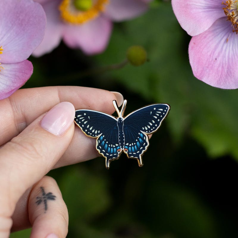 Black Swallowtail - Etsy