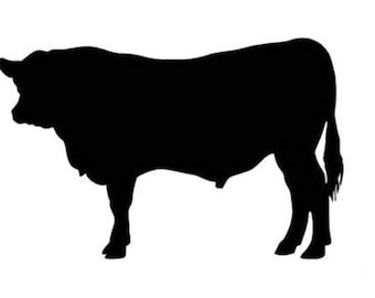 BEEF Custom Name Agflag Decal - Etsy