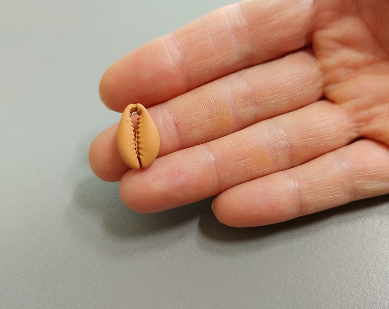 2 PCS Nut Brown 18x11mm Matte Rubber Coated Cowrie Shell - Etsy