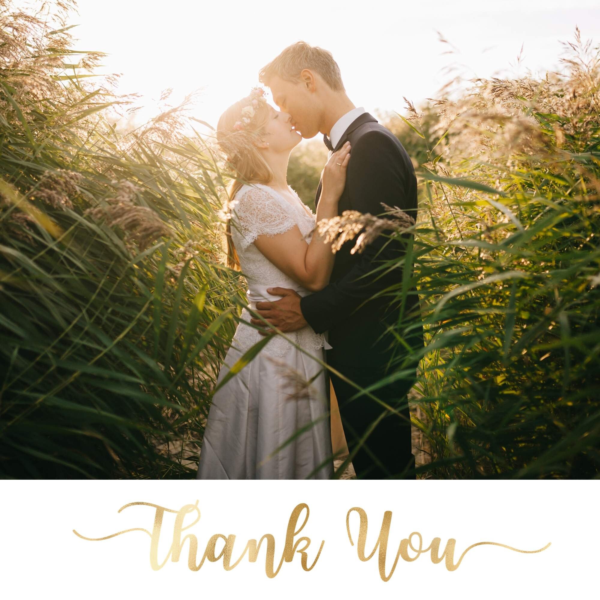 Gold Wedding Words & Text Clipart Overlays Transparent PNG - Etsy Singapore