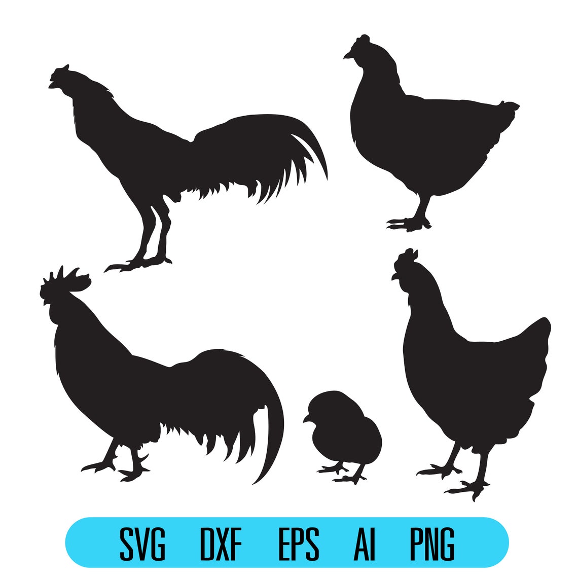 Siluetas de pollo SVG, Digital, Ilustración, Archivo de corte, Clip Art ...