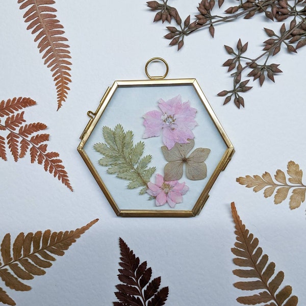 Pink Larkspur - Etsy