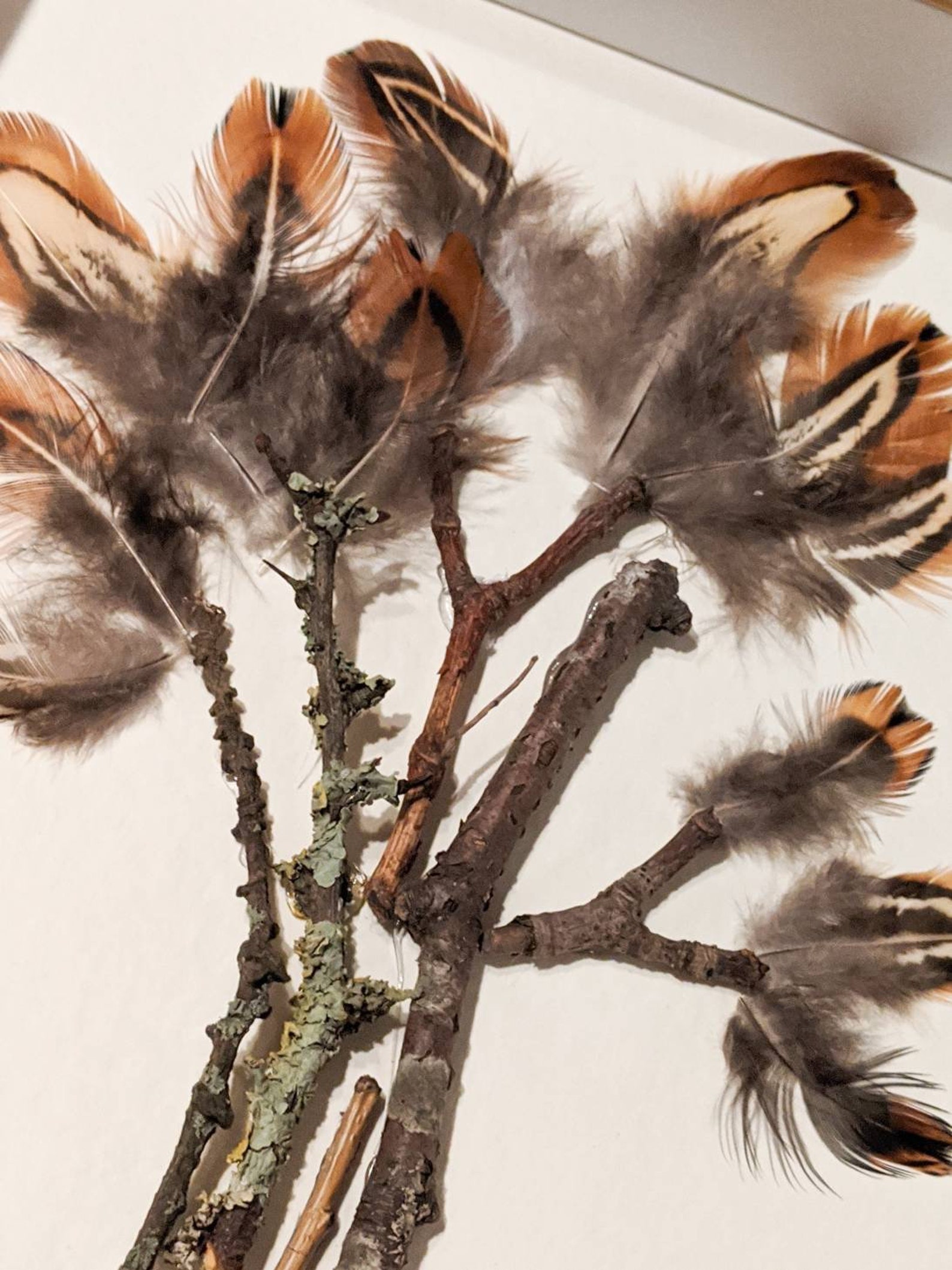 Pheasant Feather Art Tree Frame. Preserved Twigs and Real - Etsy