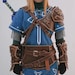 Link Cosplay Costume Suit the Legend of Zelda Costume Tears of the ...