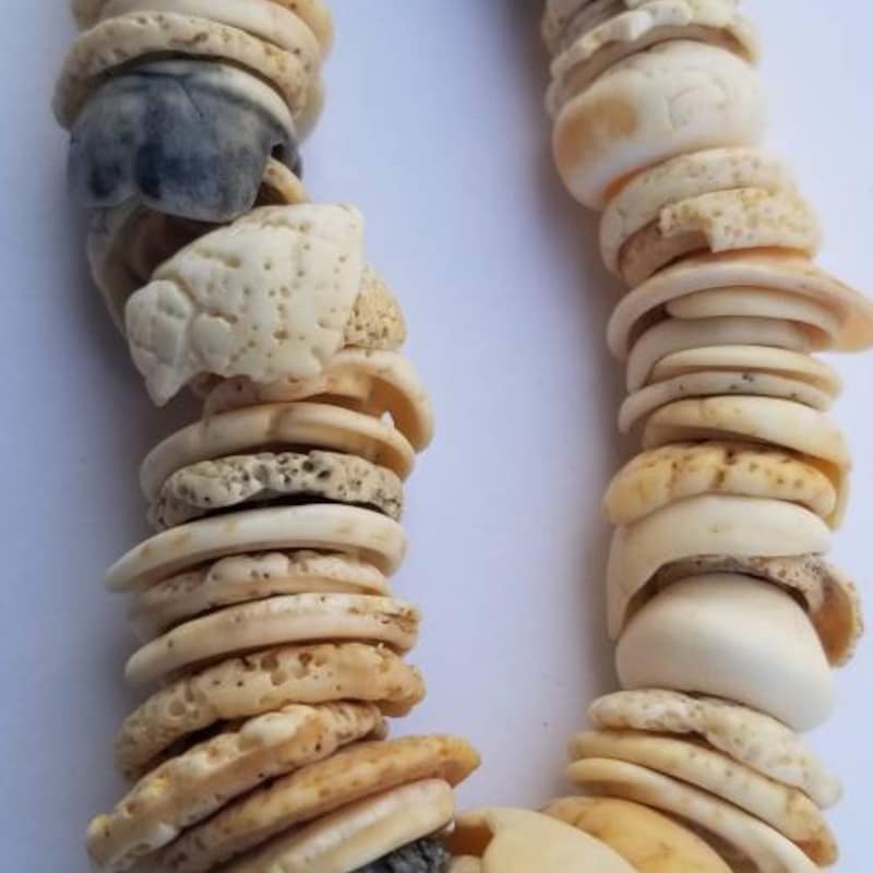 Antique Sea Shell Jewelry - Etsy