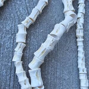 Fish Bone Beads, African Fish Vertebra Beads - Etsy