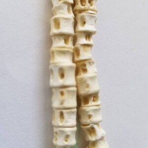 Fish Bone Beads, African Fish Vertebra Beads - Etsy