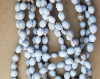 Job's Tears Seeds Beads Drilled Box 300 Pcs.coix Lacryma Natural Raw ...
