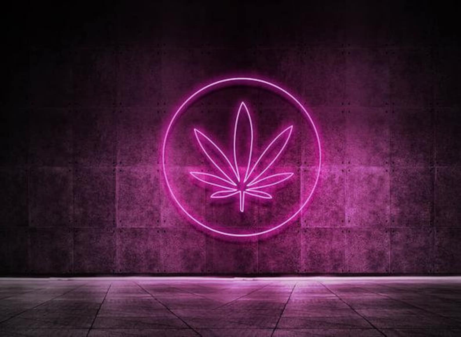 Neon Sign weed leaf LED Neon Sign Neon Sign Custom Marijuana | Etsy