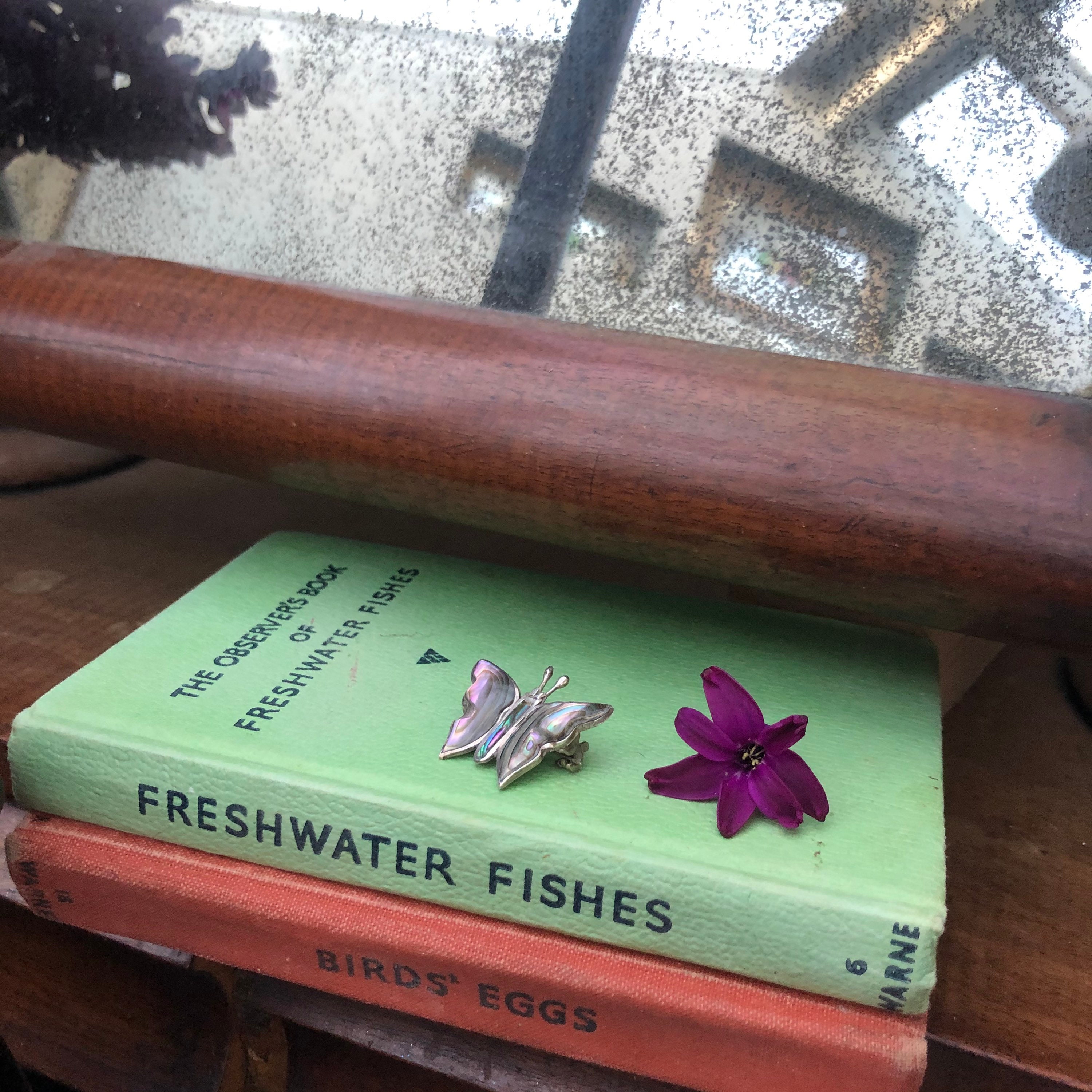 Observers Guide Vintage Nature Reference Book Individually - Etsy UK