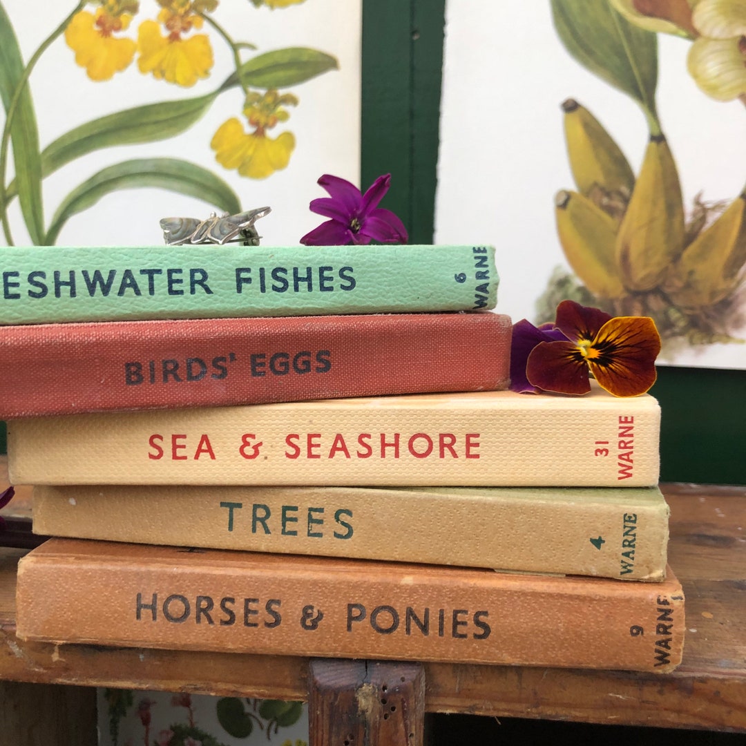 Observers Guide Vintage Nature Reference Book Individually Listed - Etsy UK