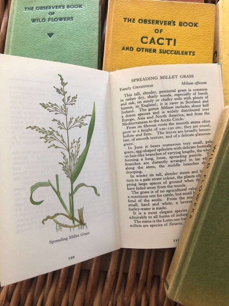 Observers Guide Vintage Nature Reference Book Individually - Etsy UK