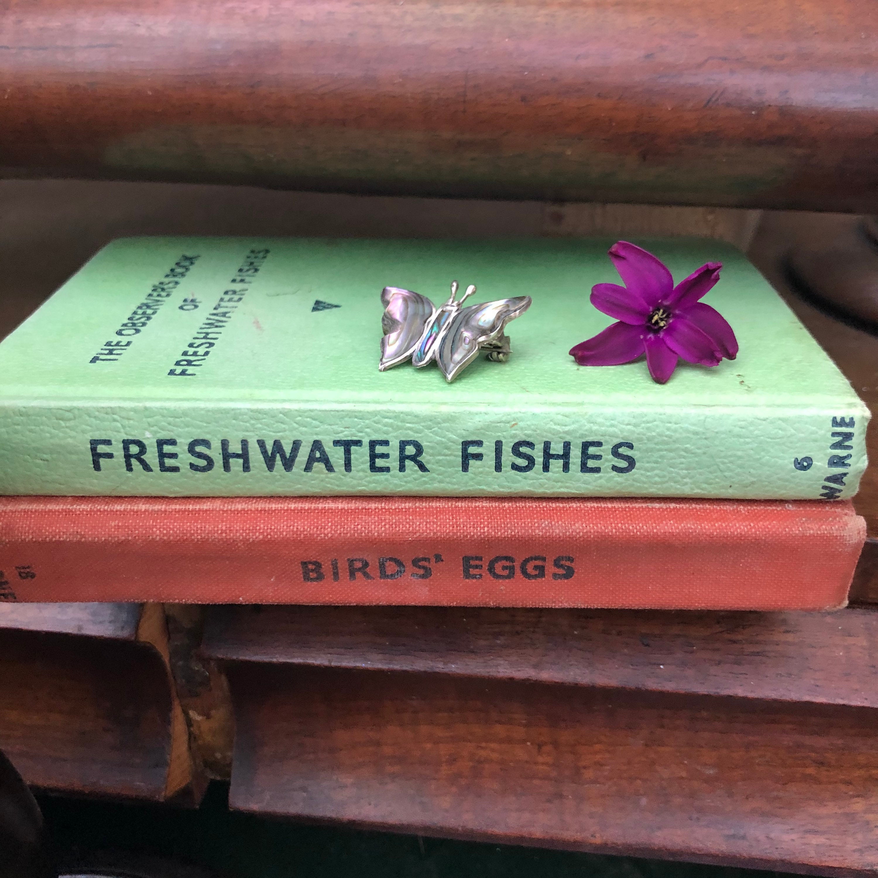 Observers Guide Vintage Nature Reference Book Individually Listed - Etsy UK