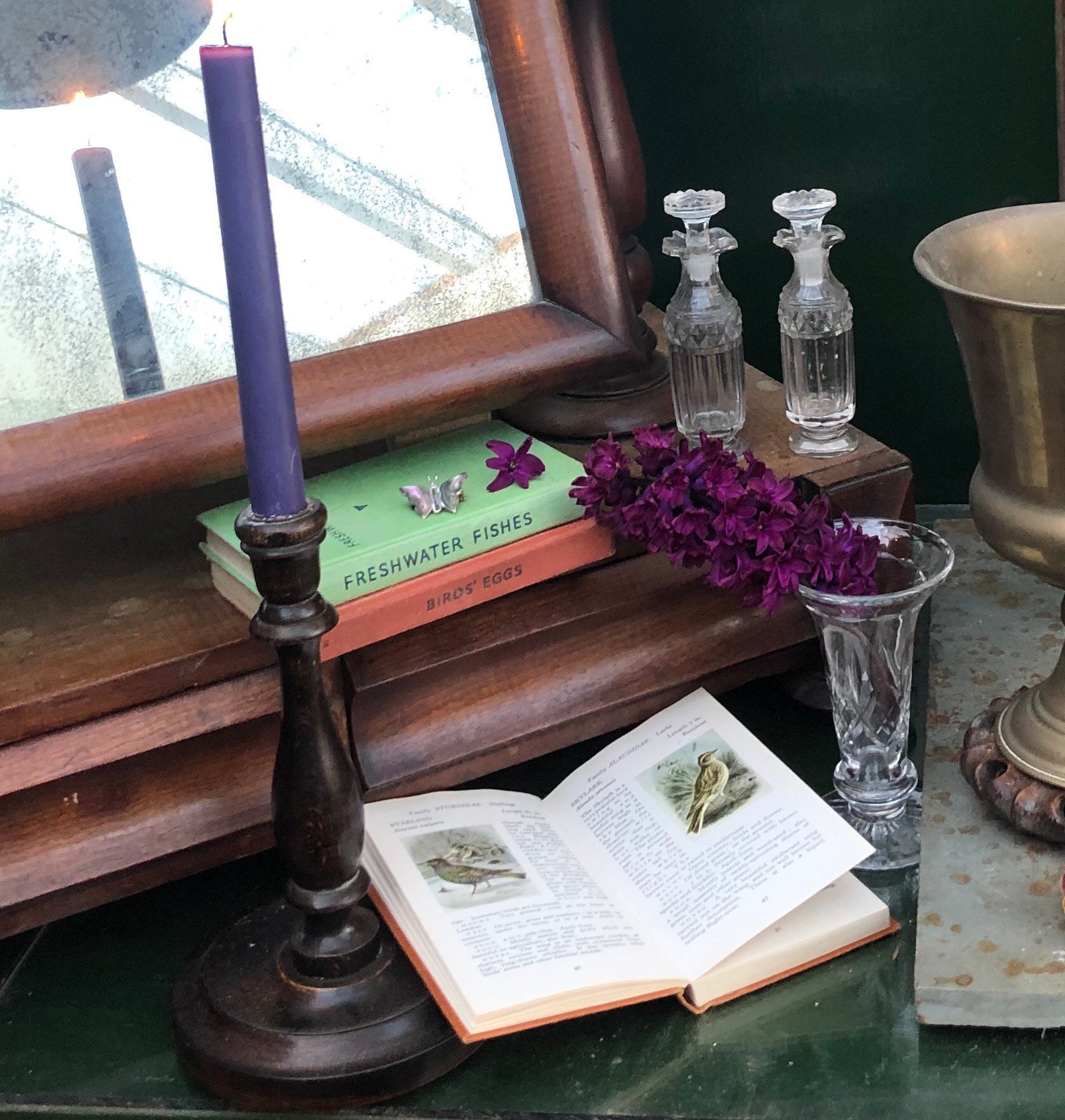 Observers Guide Vintage Nature Reference Book Individually - Etsy UK