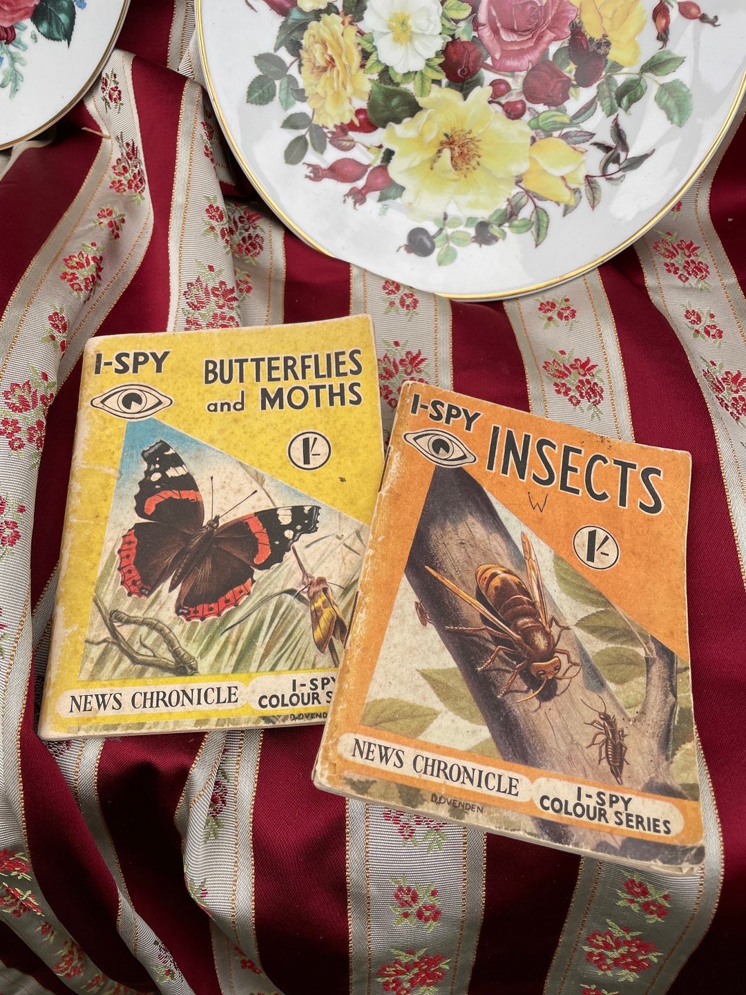 I Spy News Chronicles Books Insects and Butterflies & Moths - Etsy