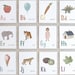 ASL Emotion Flashcards, Sign Language Feelings Flash Cards, Montessori ...