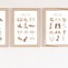 The Alphabet, Black & White Digital Print, Classroom Nursery Art ...