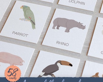 50 Zoo Animals Flashcards, Safari Flash Cards, Animal, Montessori ...
