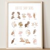 ASL Emotion Flashcards, Sign Language Feelings Flash Cards, Montessori ...