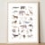 ASL Emotion Flashcards, Sign Language Feelings Flash Cards, Montessori ...