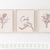ASL Emotion Flashcards, Sign Language Feelings Flash Cards, Montessori ...