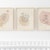 ASL Emotion Flashcards, Sign Language Feelings Flash Cards, Montessori ...