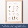 Whole Body Listening, Classroom Rules Poster, Classroom Decor ...
