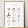 Set of 6 Educational Posters, Alphabet Poster, Classroom Poster ...