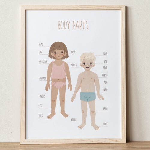 Body Parts Poster Montessori Homeschool Educational Posters - Etsy