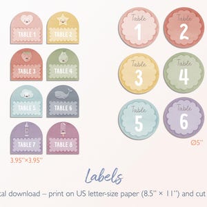 Editable Rainbow Classroom Labels: Teacher Toolbox Organizer (digital ...