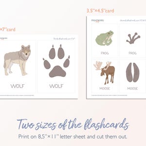 Animal Tracks Flashcards Montessori Matching Game, Nature Study Cards ...