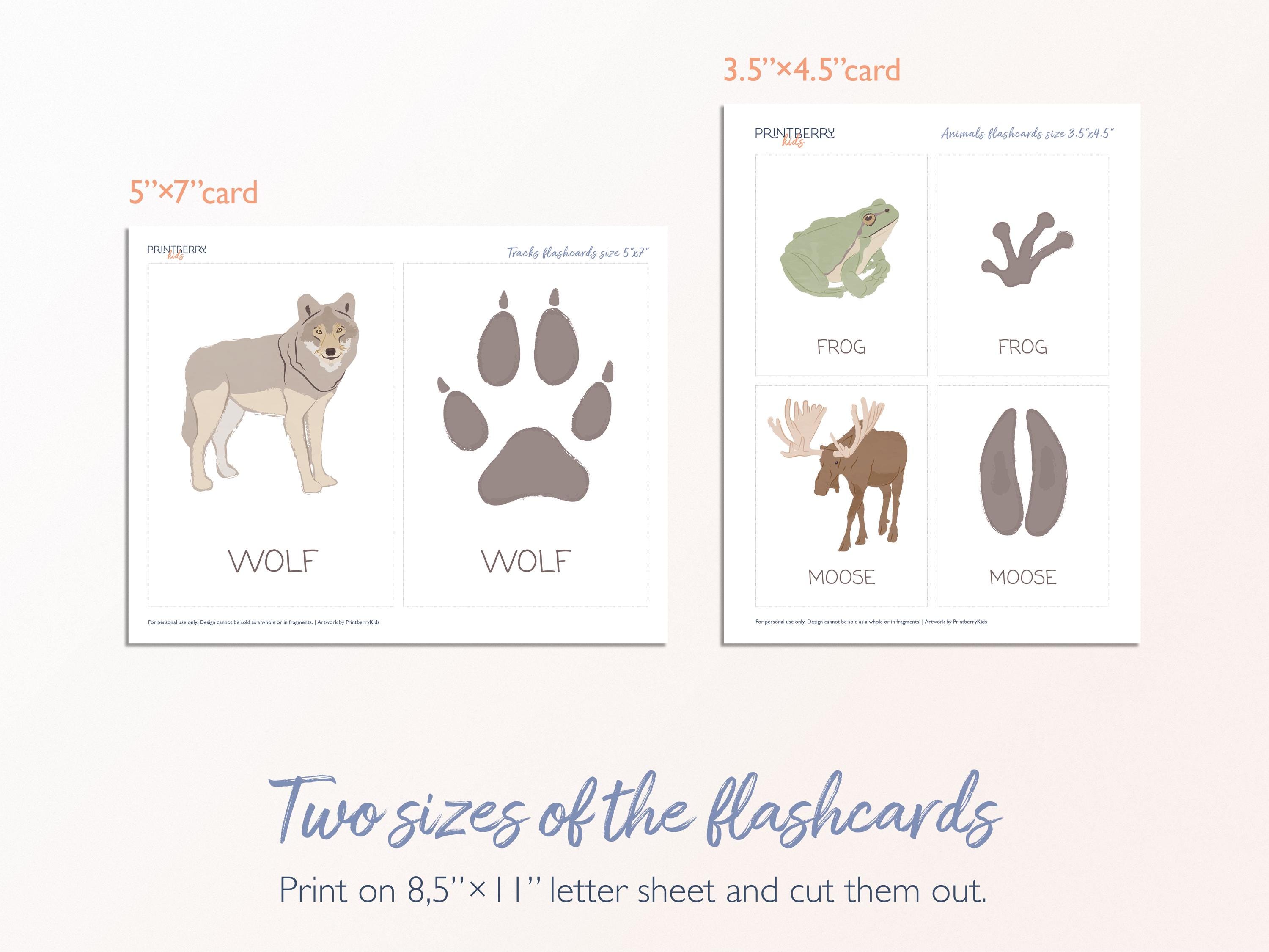 Animal Tracks Flashcards: Montessori Nature Study (digital Download) - Etsy