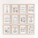 Set of 32 Educational Posters, Boho Classroom Decor Bundle, Math Poster ...
