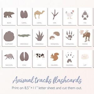 Animal Tracks Flashcards: Montessori Nature Study (digital Download) - Etsy