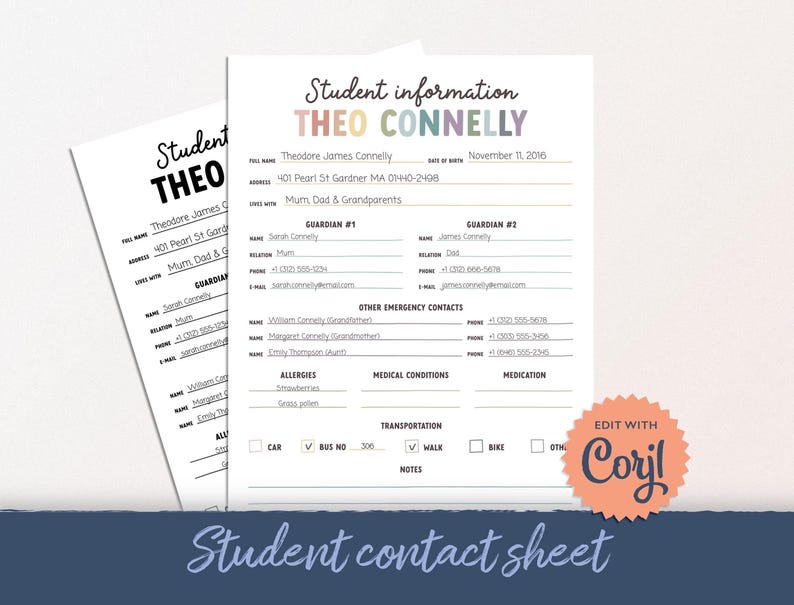Editable Child Information Sheet, Emergency Contact Form, Printable ...
