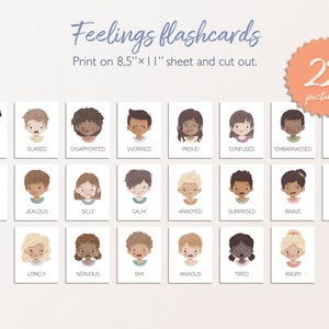 EDITABLE Emotion Flashcards, Feelings Flash Cards, Montessori Materials ...