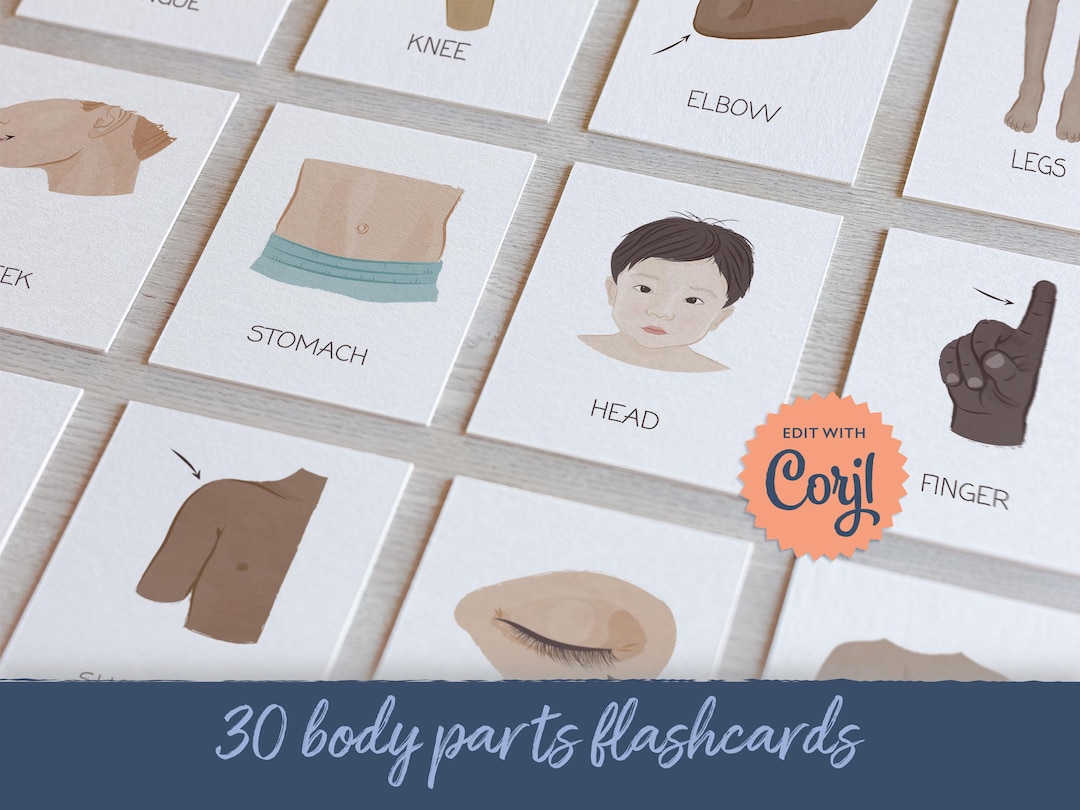 30 Editable Body Parts Flashcards, Toddler Anatomy Cards, Montessori ...