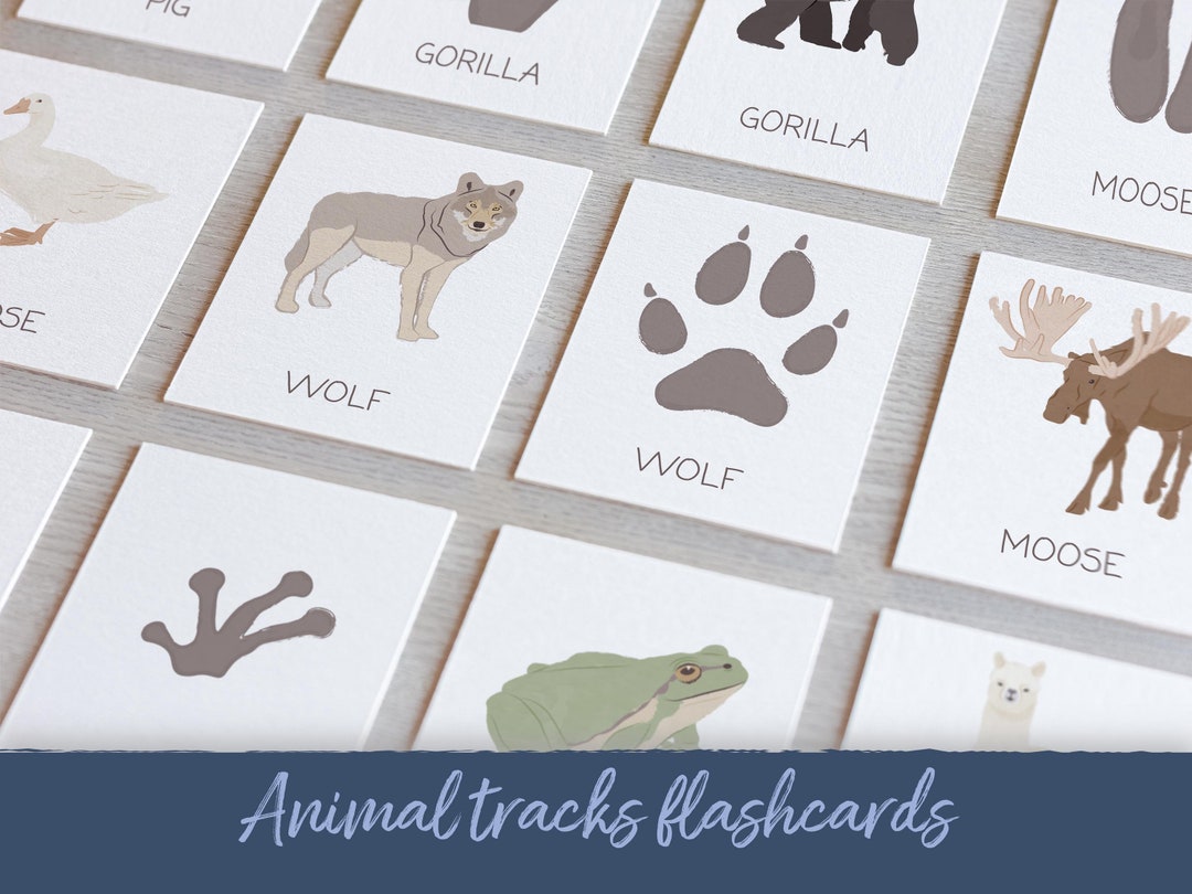 Animal Tracks Flashcards Montessori Matching Game, Nature Study Cards ...