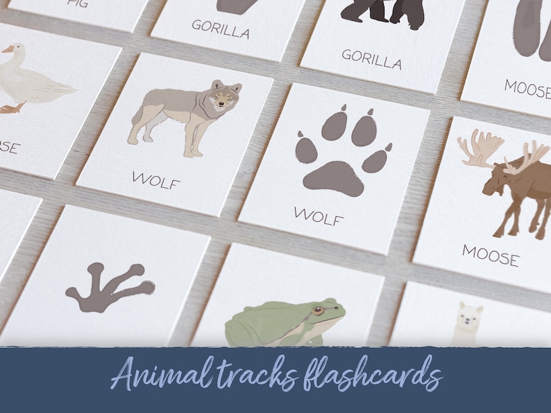 Animal Tracks Flashcards: Montessori Nature Study (digital Download) - Etsy