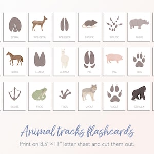 Animal Tracks Flashcards Montessori Matching Game, Nature Study Cards ...