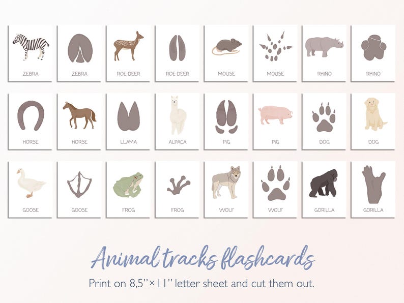 Animal Tracks Flashcards: Montessori Nature Study (digital Download) - Etsy